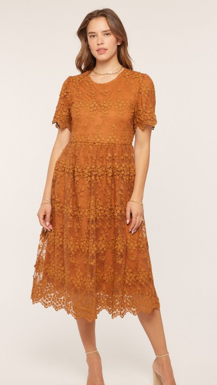 Ivy & Grace – Ivy & Grace